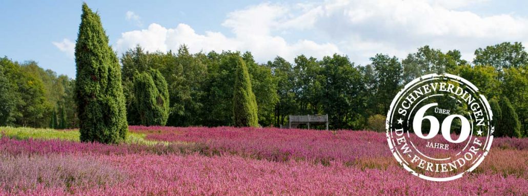 Start - Schneverdingen Feriendorf